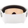 Oakley Flight Path XL Goggles | Backcountry.com