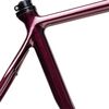 Pivot Vault Frameset | Backcountry.com
