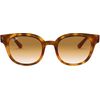 Ray-Ban Rb4324 Sunglasses | Backcountry.com