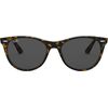 Ray-Ban Wayfarer II Sunglasses | Backcountry.com