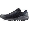 Salomon Sense Ride 4 Trail Running Shoe - Men's | Backcountry.com