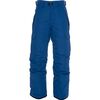 686 Infinity Cargo Insulated Pant - Boys'
