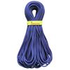 Tendon Ropes Master Pro Climbing Rope - 9.2mm | Backcountry.com