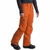 The North Face Freedom Pant - Men's | Backcountry.com