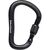 Black Diamond RockLock Screwgate Carabiner | Backcountry.com