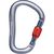 Black Diamond RockLock Screwgate Carabiner | Backcountry.com