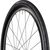 Continental Gatorskin Tire - Black Edition | Backcountry.com