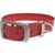 Kurgo Muck Collar | Backcountry.com