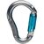 Omega Pacific Jake Carabiner | Backcountry.com