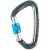 Trango React Screwlock Carabiner | Backcountry.com