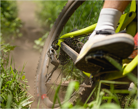 Competitive Cyclist - Road & Mountain Bikes, Apparel, & Accessories ...