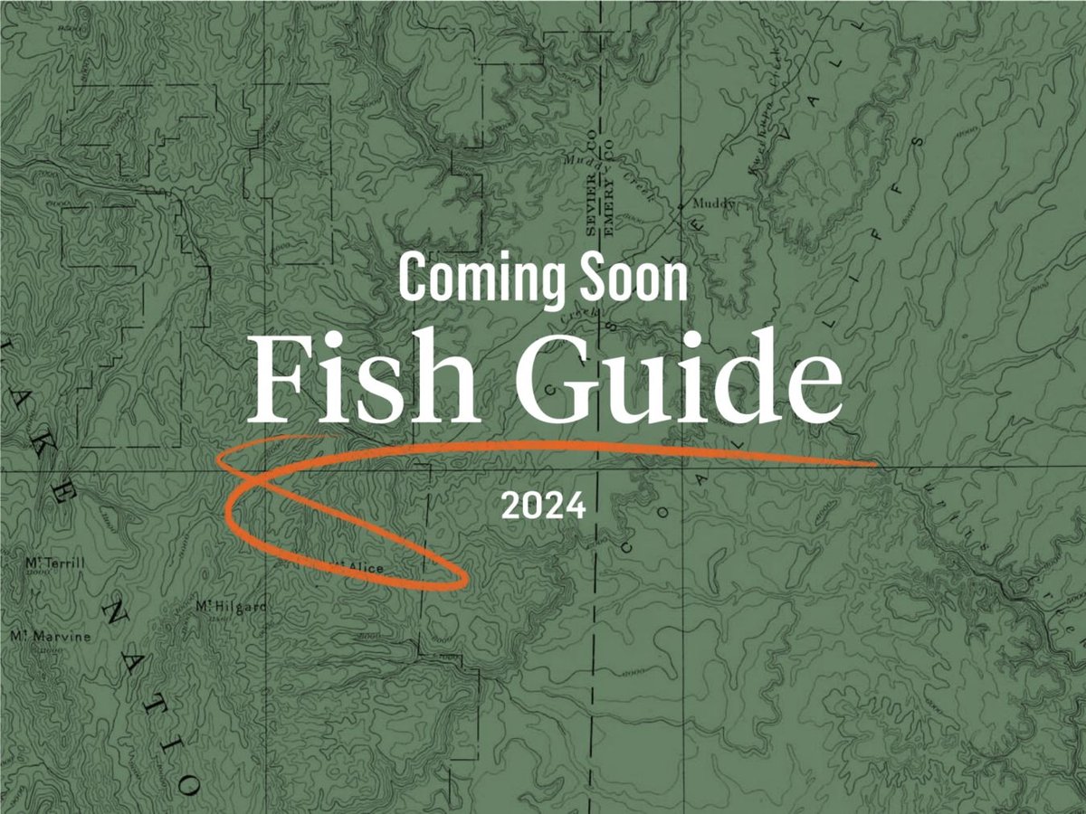 2024 Outdoor Gear Guides | Backcountry